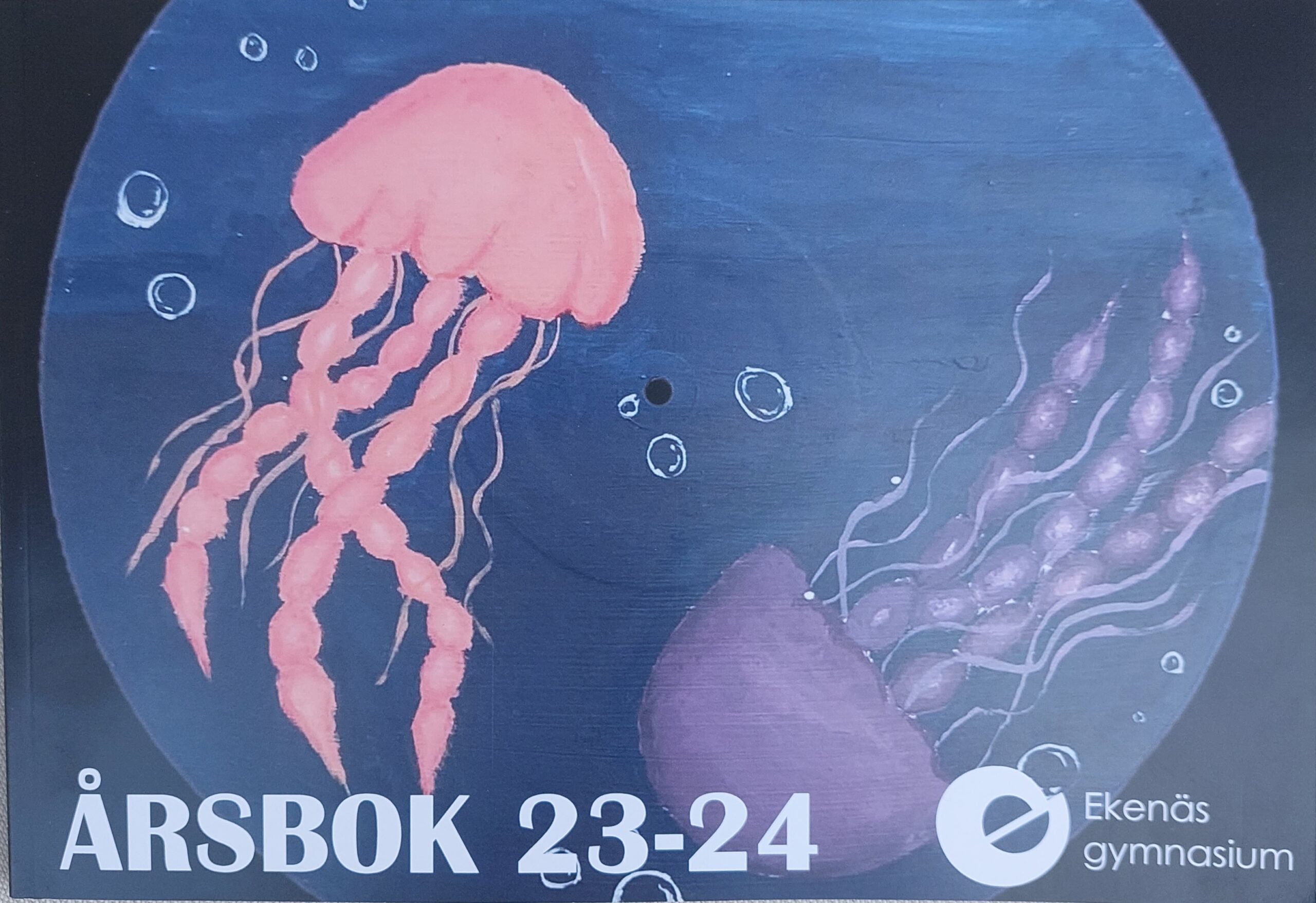 Årsboken 2023-2024 - Raseborg