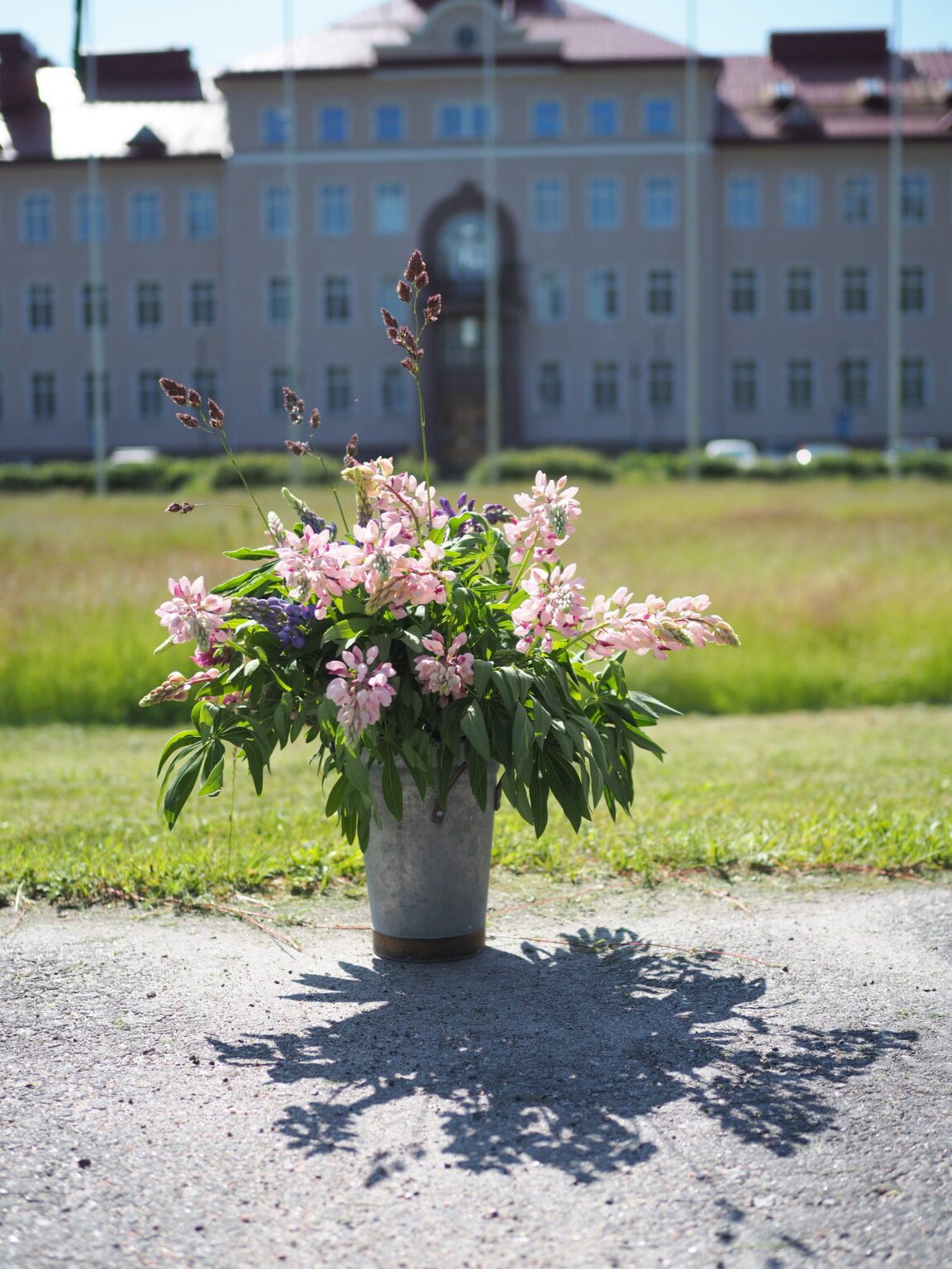 Välkommen till Raseborg - Raseborg