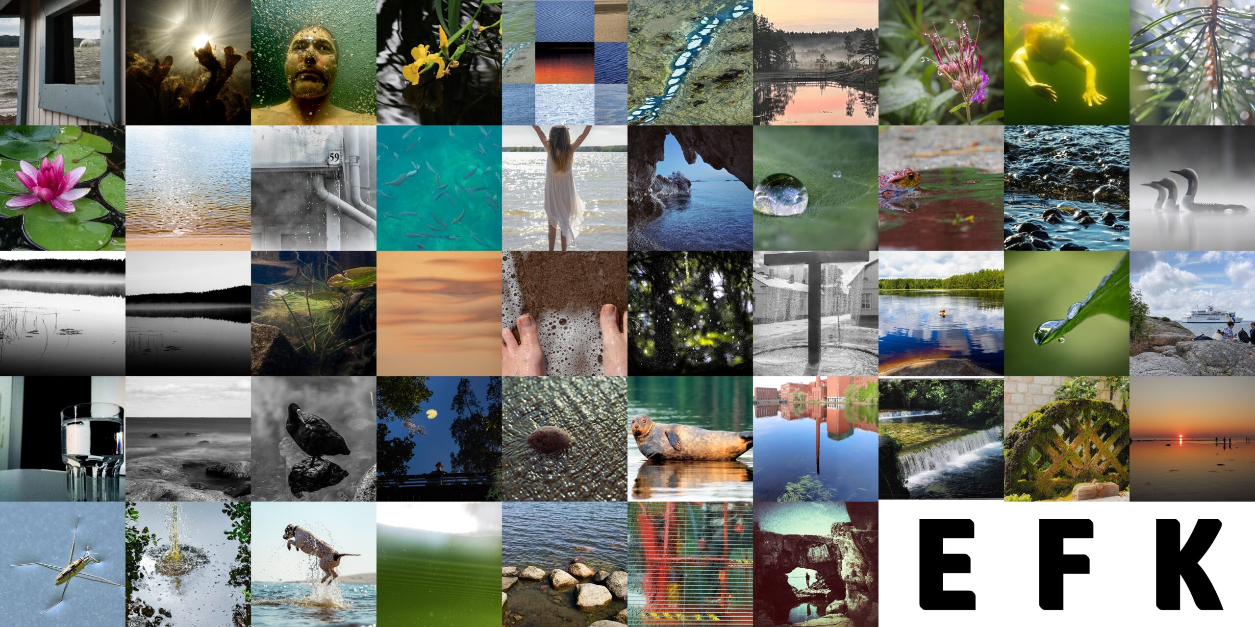 Välkommen till Raseborg - Raseborg